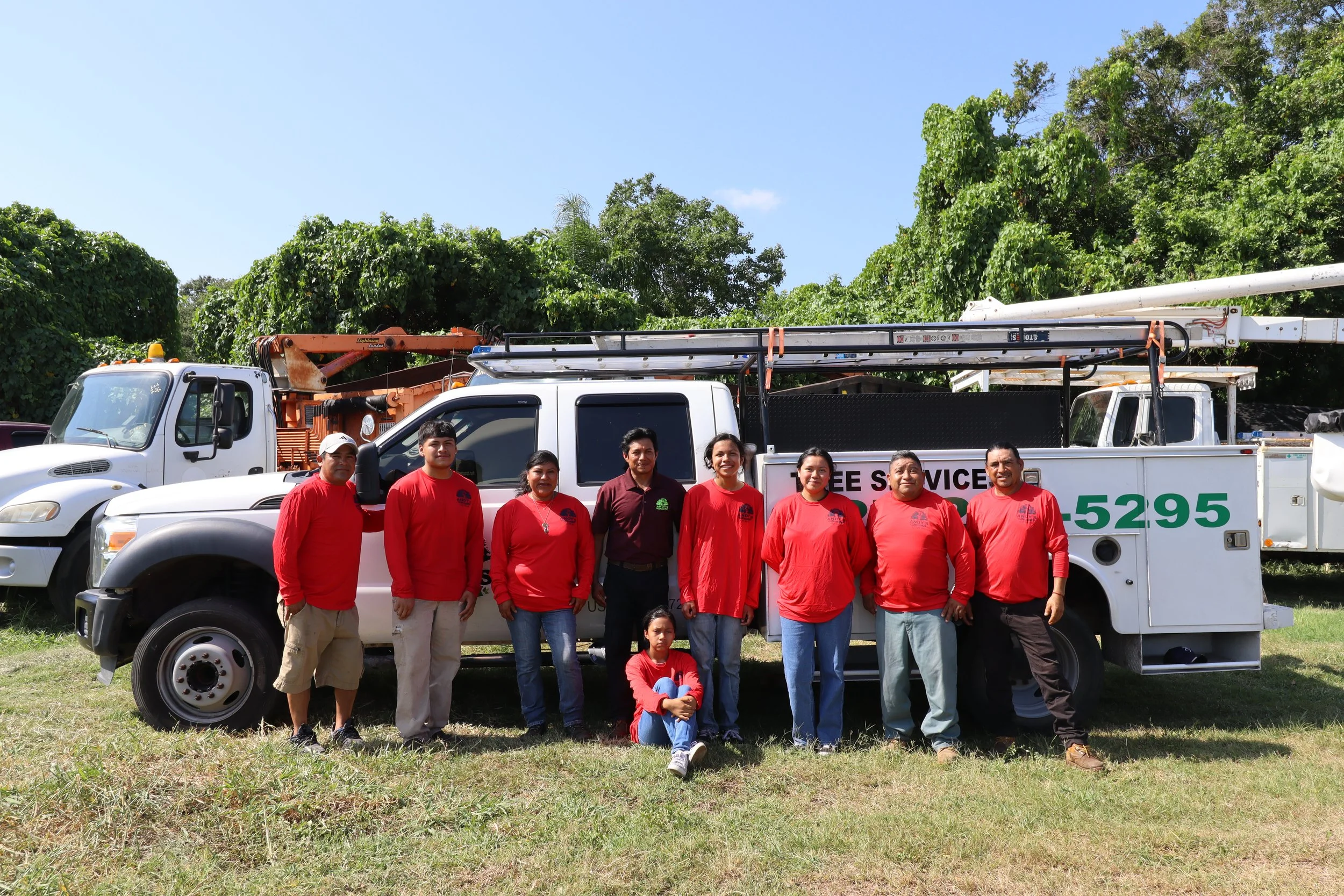 Gallery 1 — Andy's Tree Service