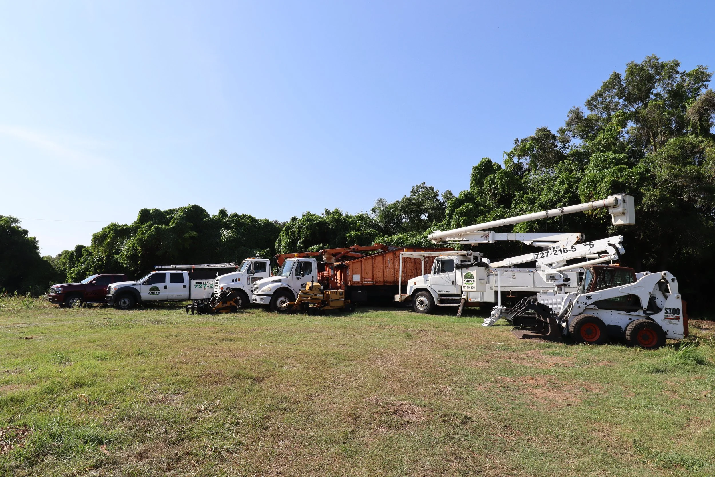 About 5 — Andy's Tree Service