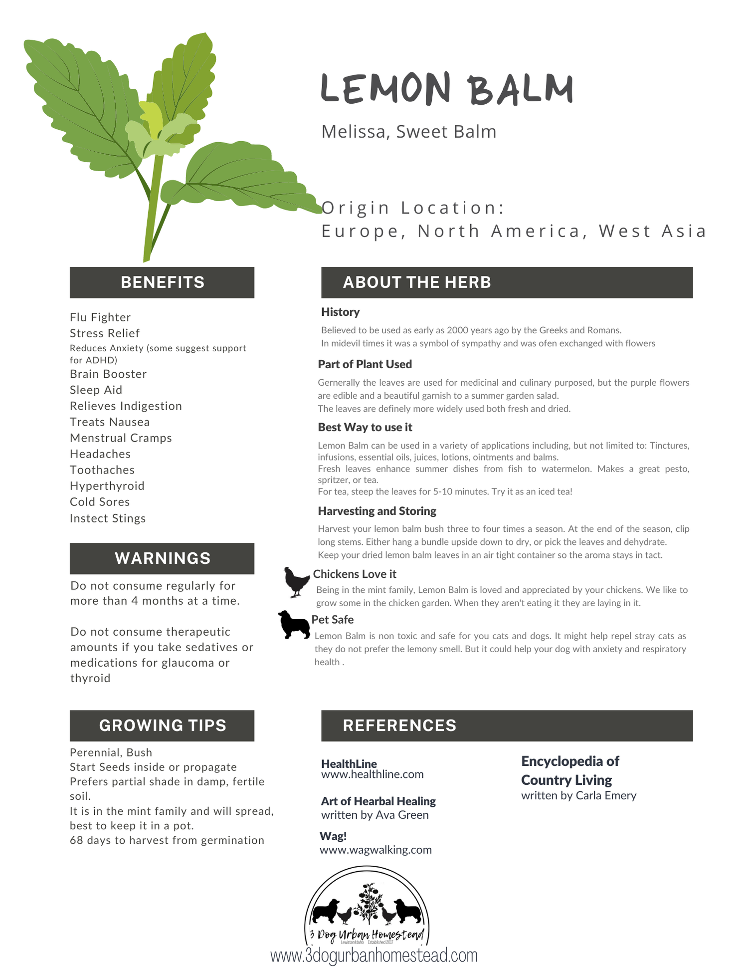 Tea Collection: Lemon Balm — 3 Dog Urban Homestead