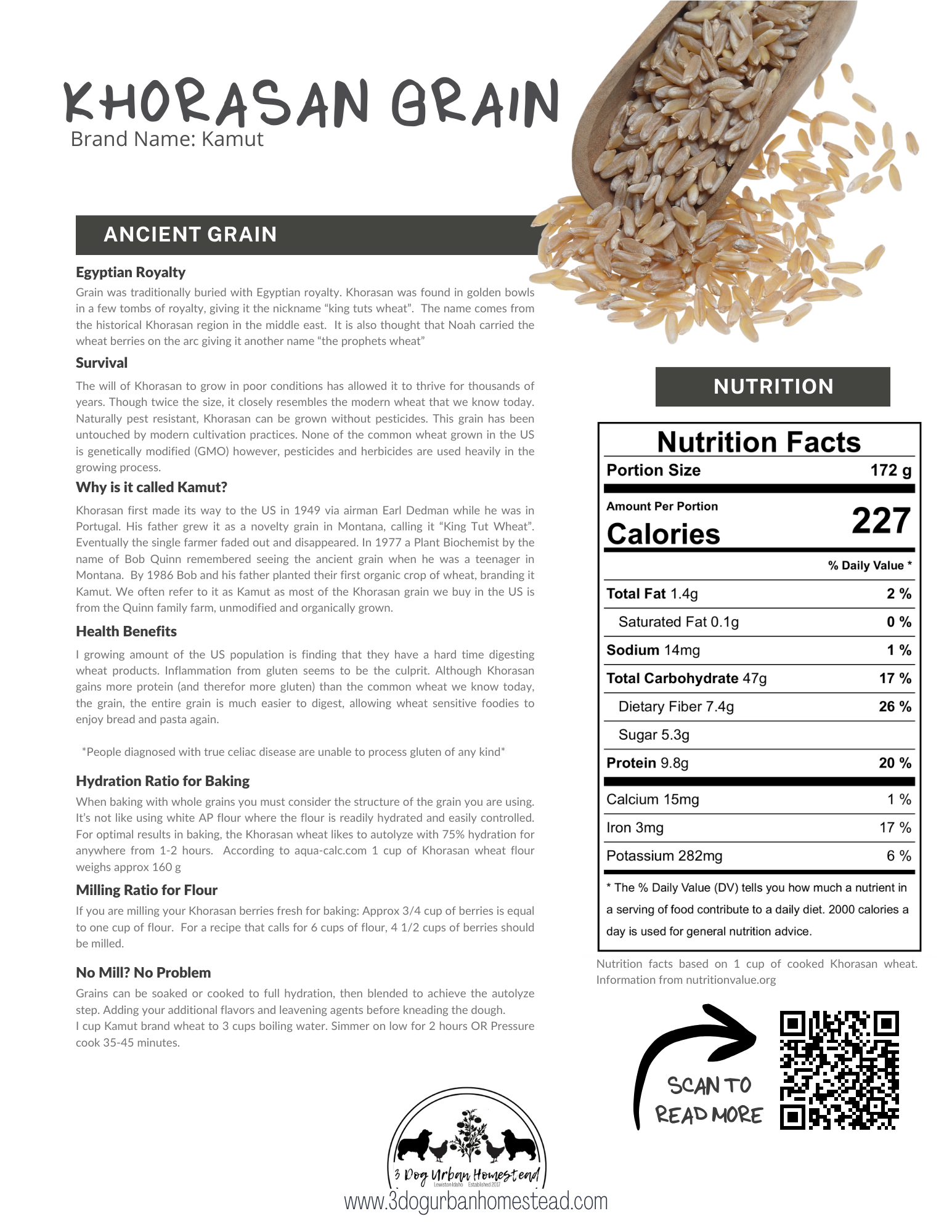 Ancient grains: Khorasan — 3 Dog Urban Homestead