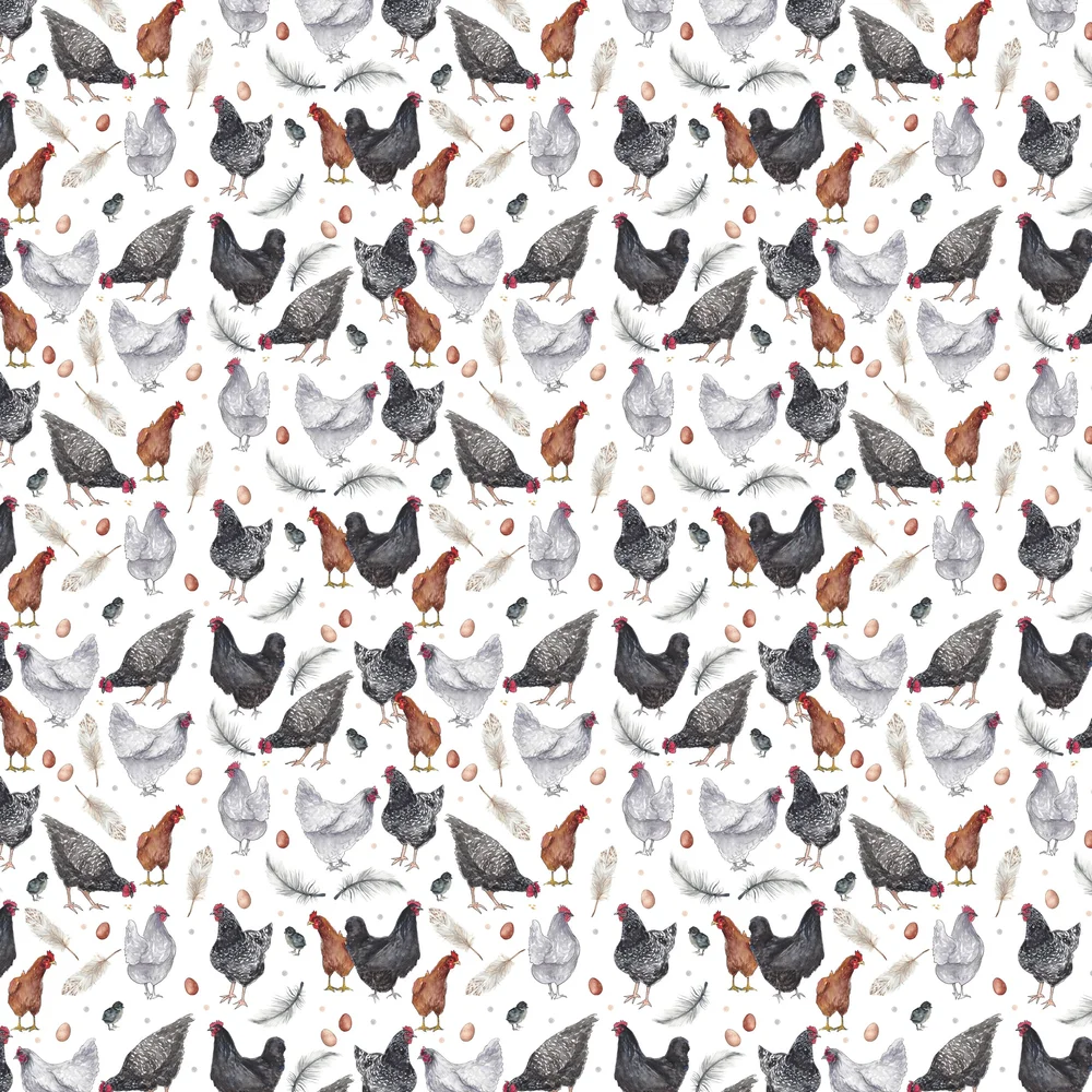 Chickens — 3 Dog Urban Homestead