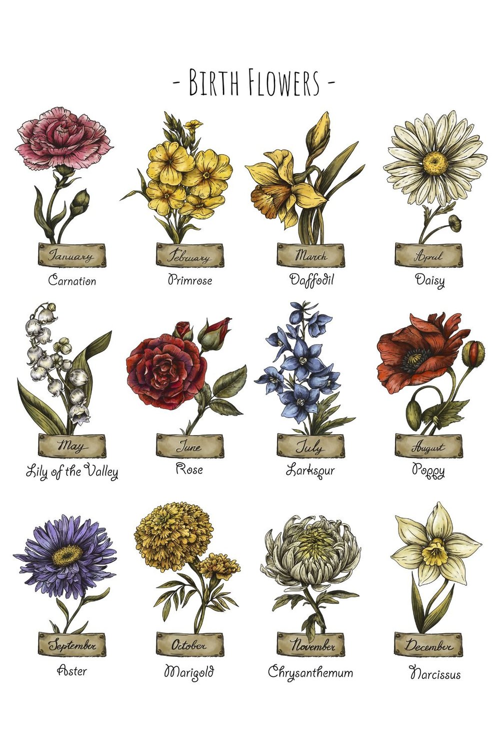 A guide to birth month flowers — Sweetellabella