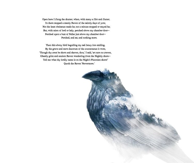 Raven Symbolism And Facts About A Unique Bird — Sweetellabella