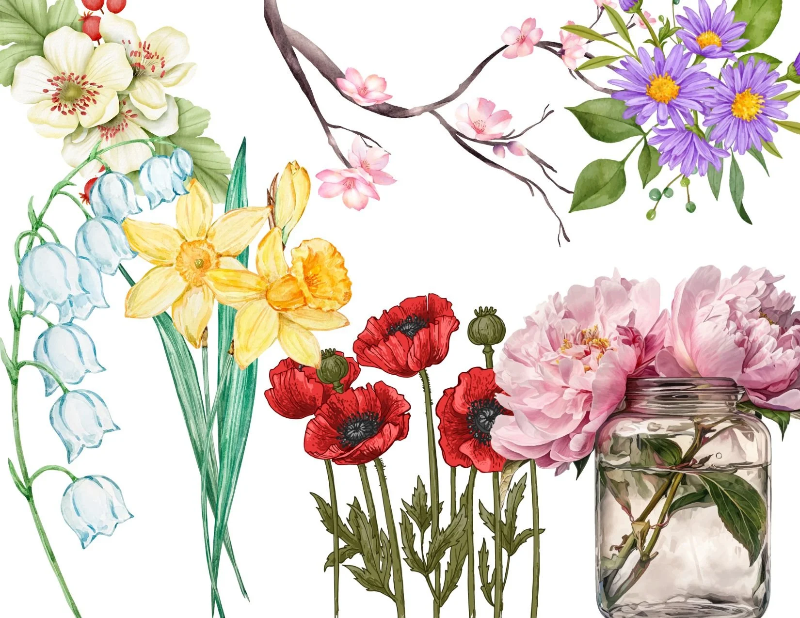 A guide to birth month flowers — Sweetellabella