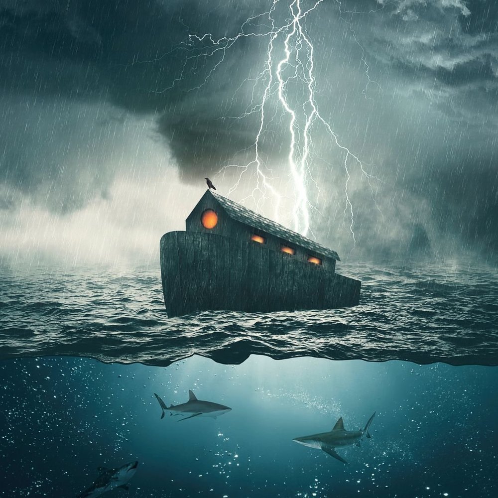 Raven Symbolism And Facts About A Unique Bird — Sweetellabella