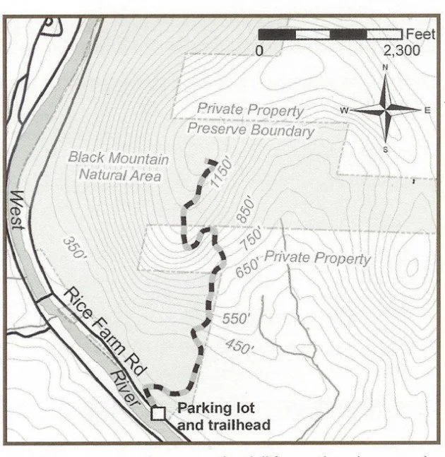Black Mt. Natural Area Nature Conservancy — Dummerston Conservation ...