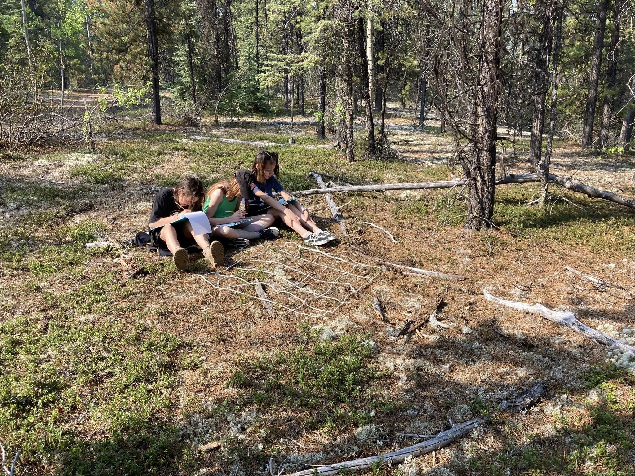 Numeracy for School Teams — First Nation School Board - Yukon