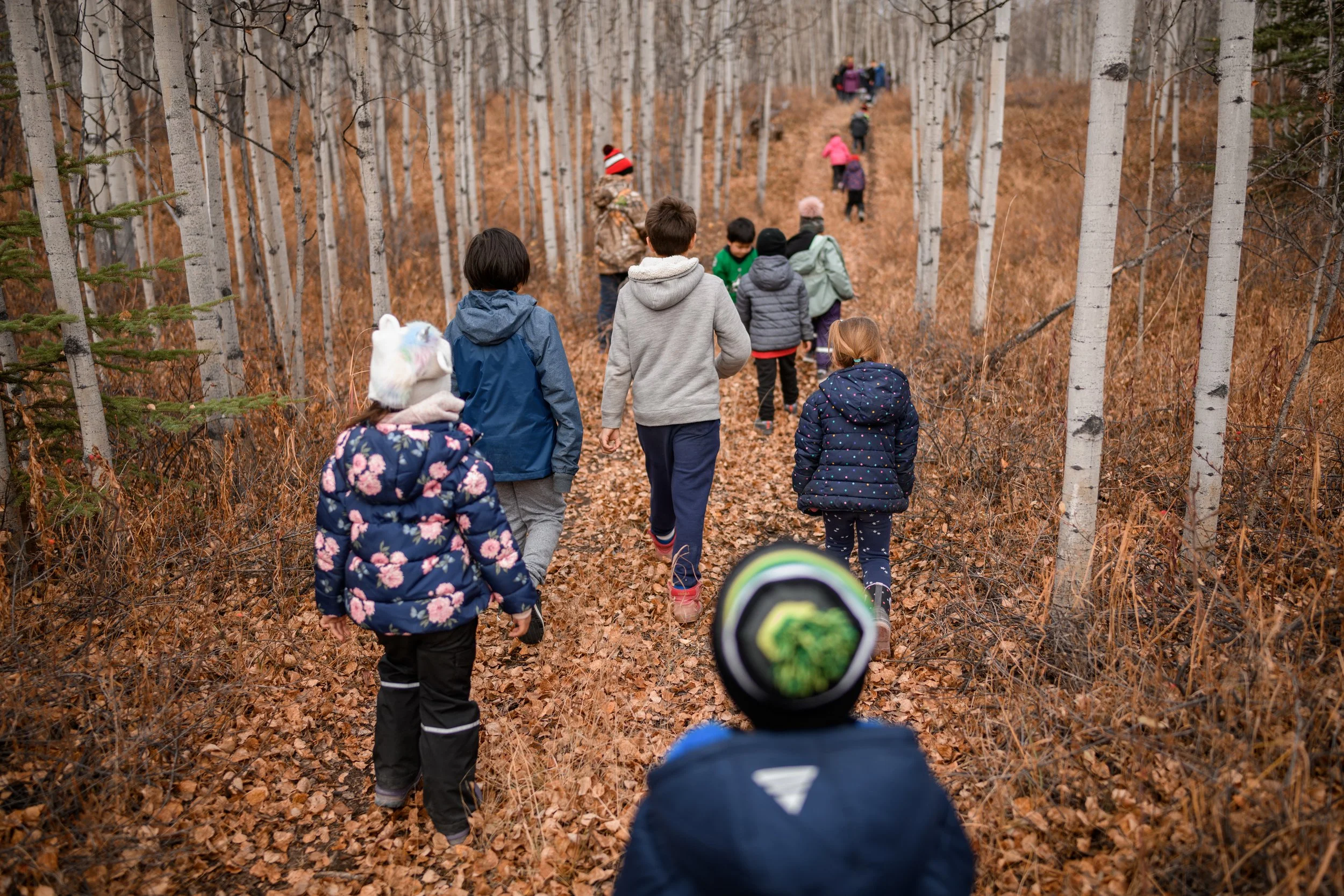 Strategic Plan and Annual Reports — First Nation School Board - Yukon