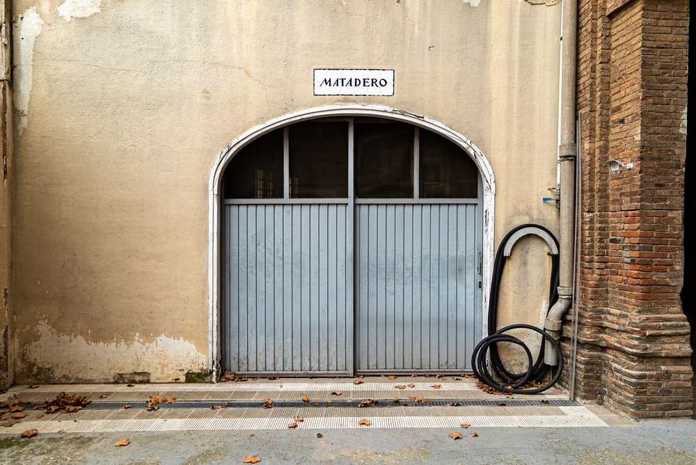 PICTURES: La Monumental and the end of bullfighting in Catalonia ...