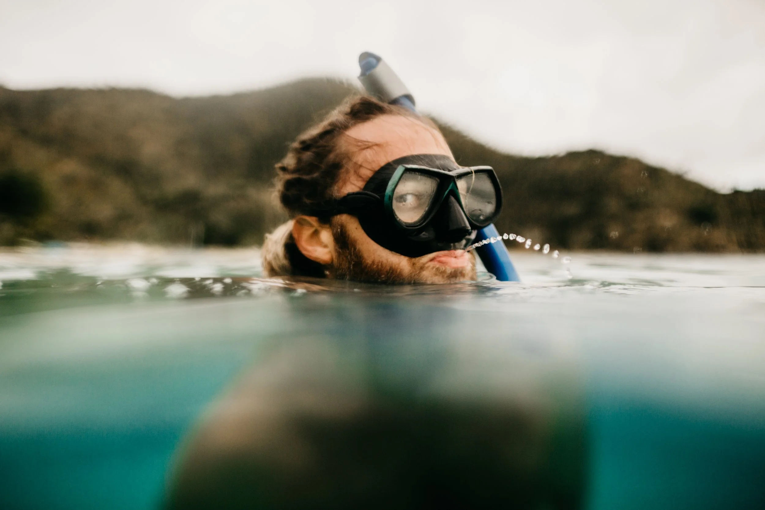 ABOUT US — Linds & Max