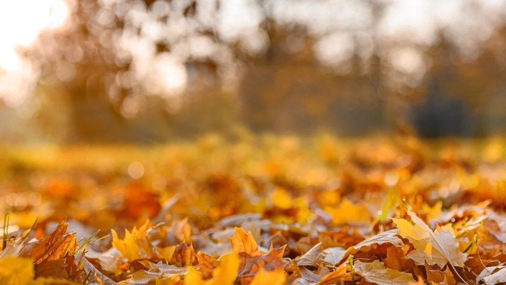 Waterloo Region Community Foundation Home
