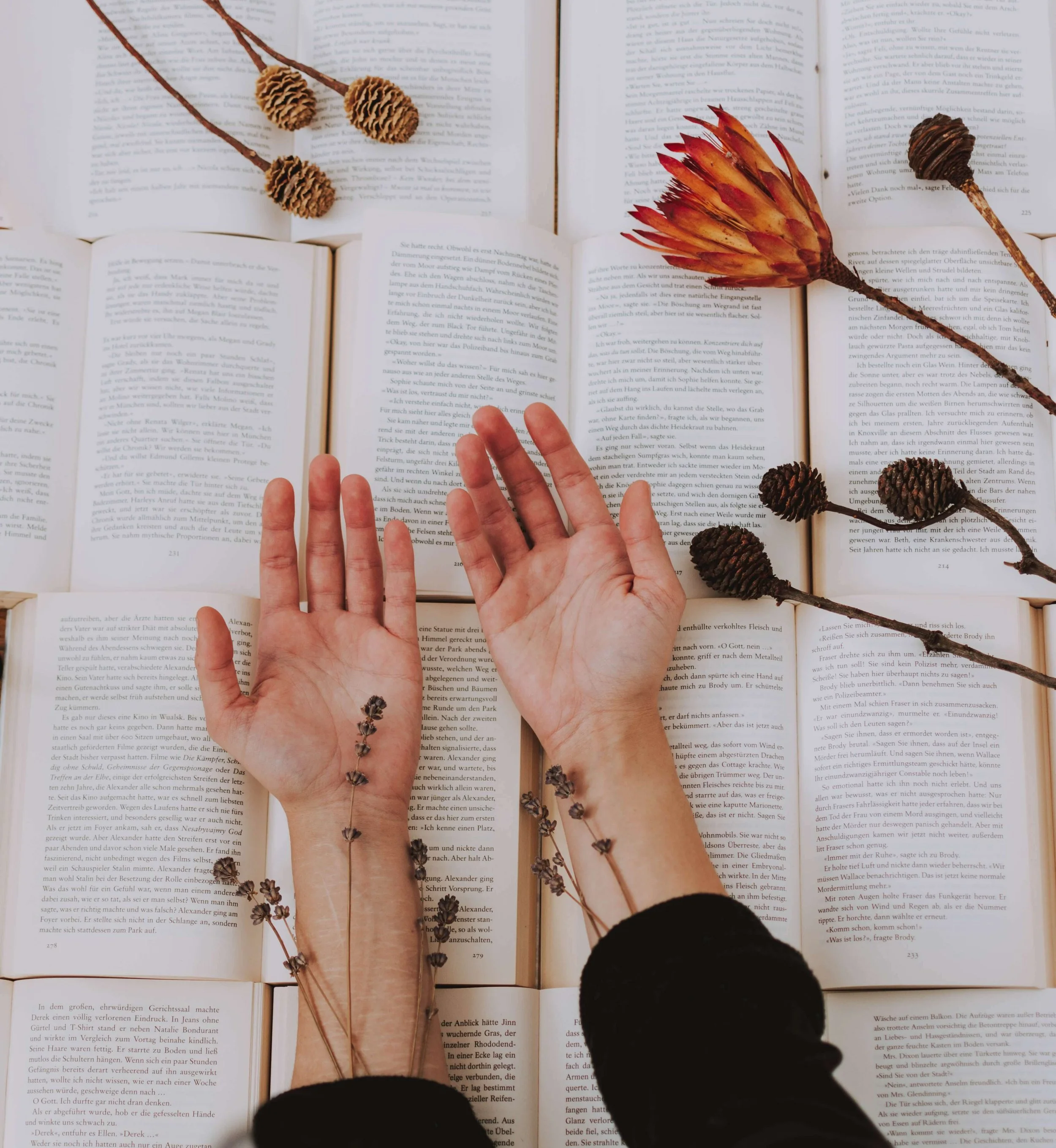 Evolve — Pure & Present | Renew | Evolve | Nurture | Moodboard