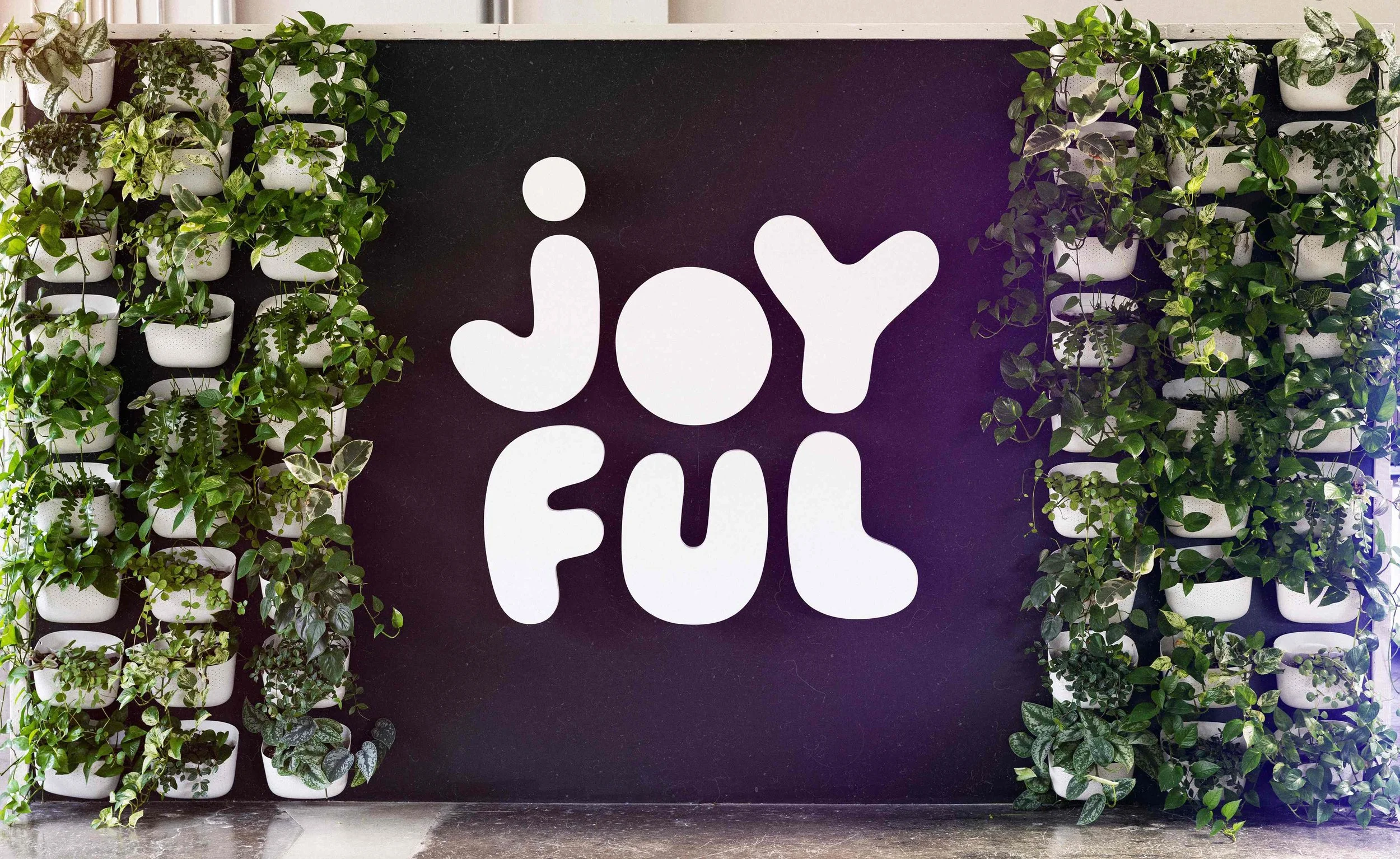 About — joyful