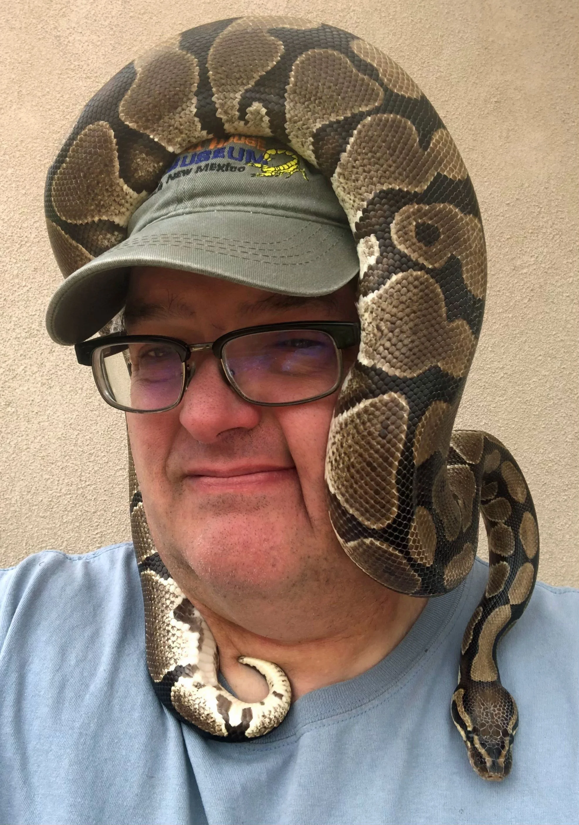 Ball Python Hat