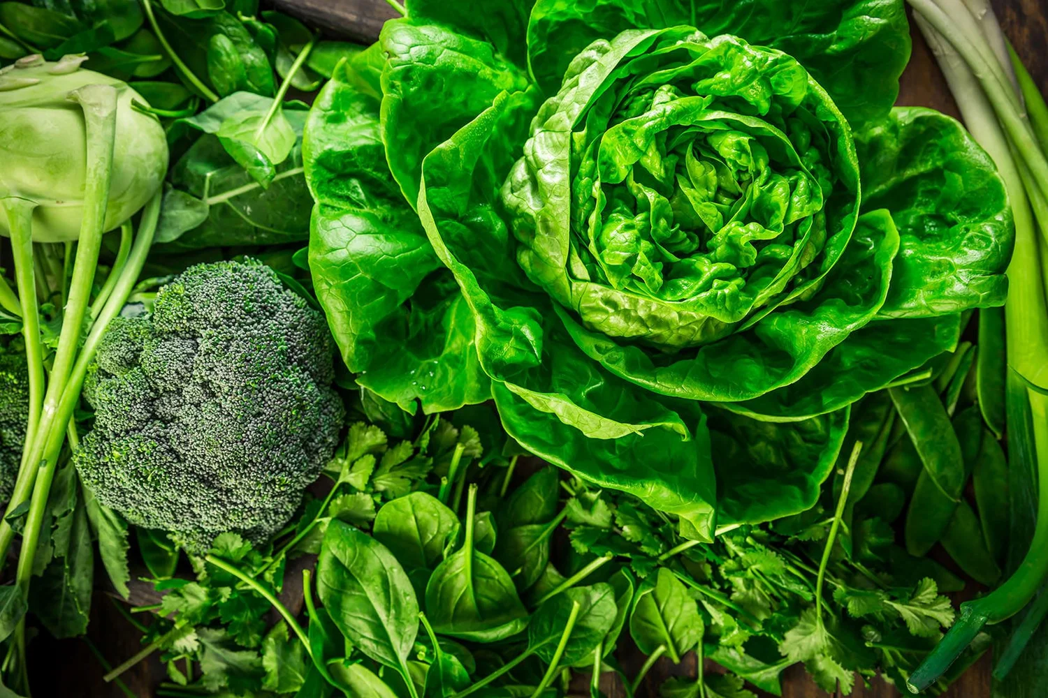 Medicinal plants that can help with diabetes - Diabetes Action Research ...