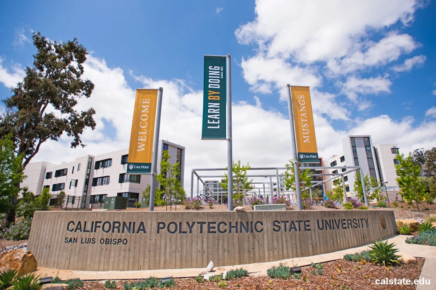 Cal Poly San Luis Obispo — My Campus CalFresh