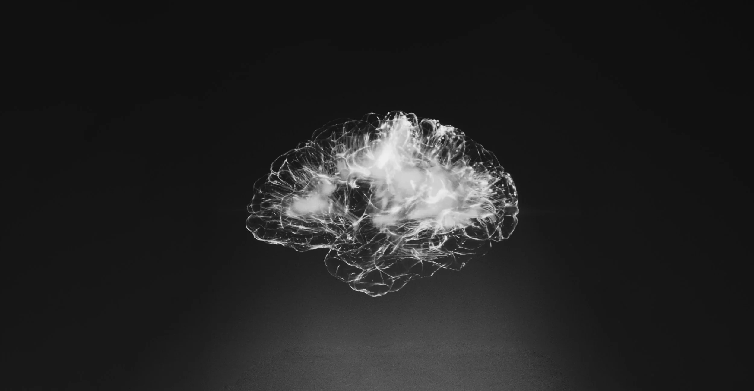 Network Literacy — Woods Hole Institute