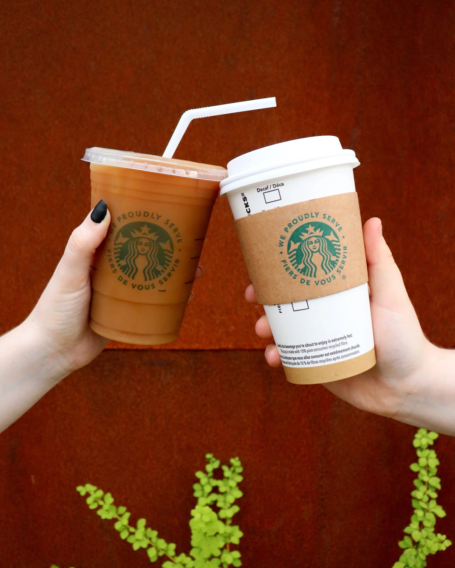 Canoe Co. Cafe | Starbucks & Gelato Cafe in Peterborough ON