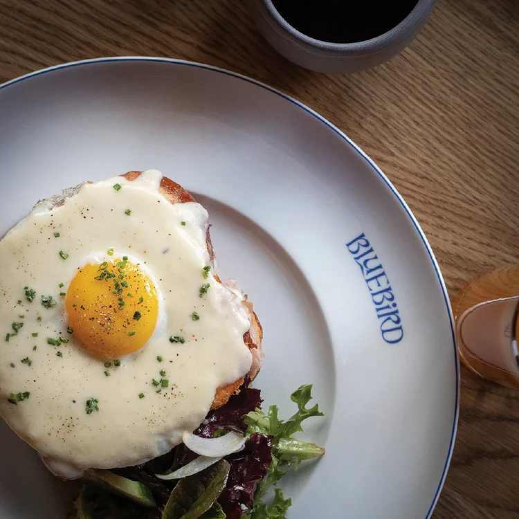 Gallery — Bluebird Wood-fired Steakhouse