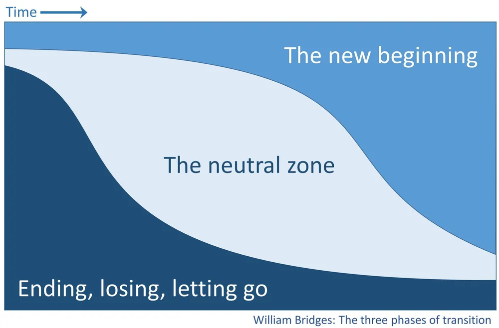 The 3 stages of transition explained — Lucent Global