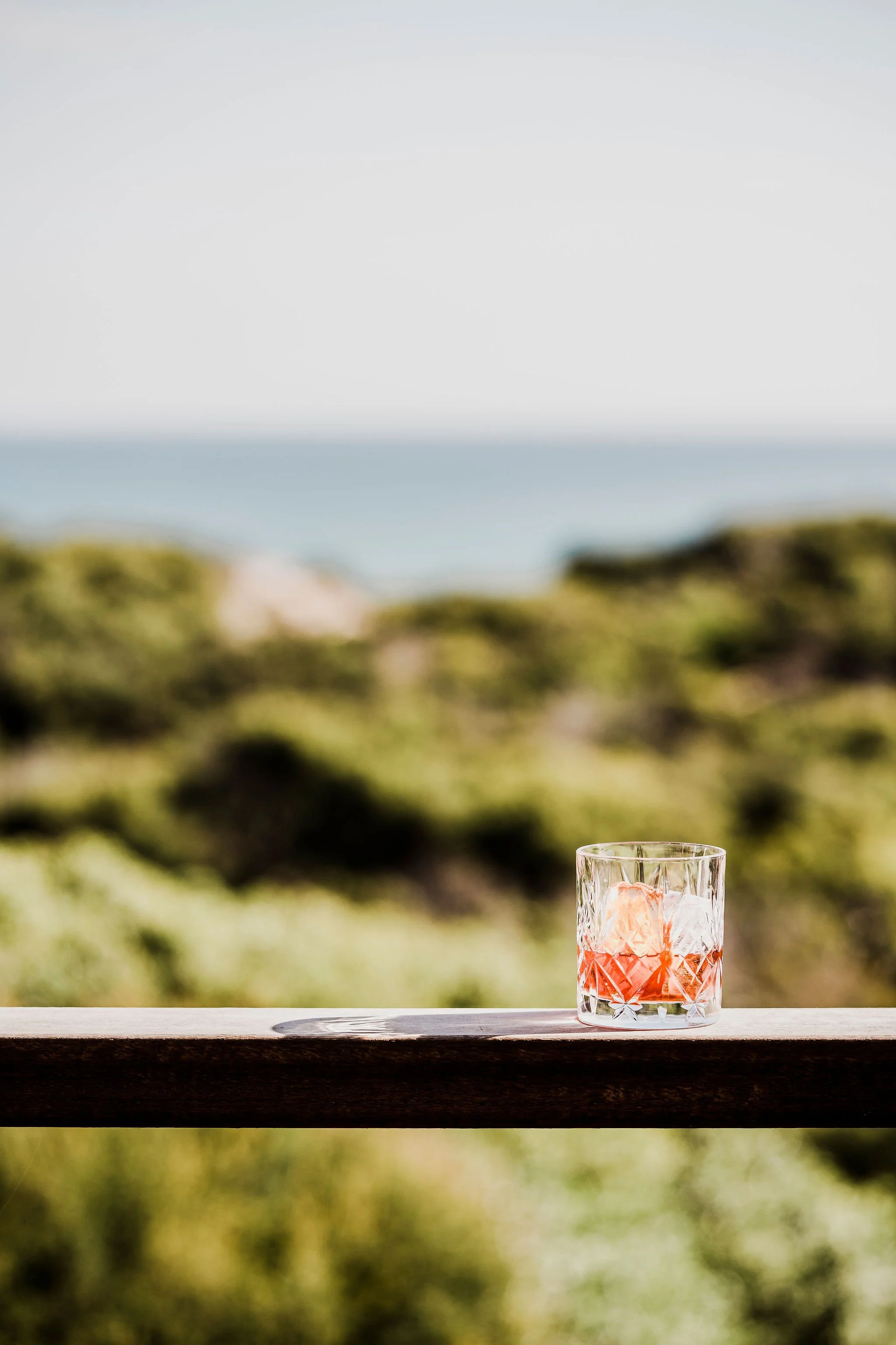 How to Make the Perfect Negroni — Camillo House