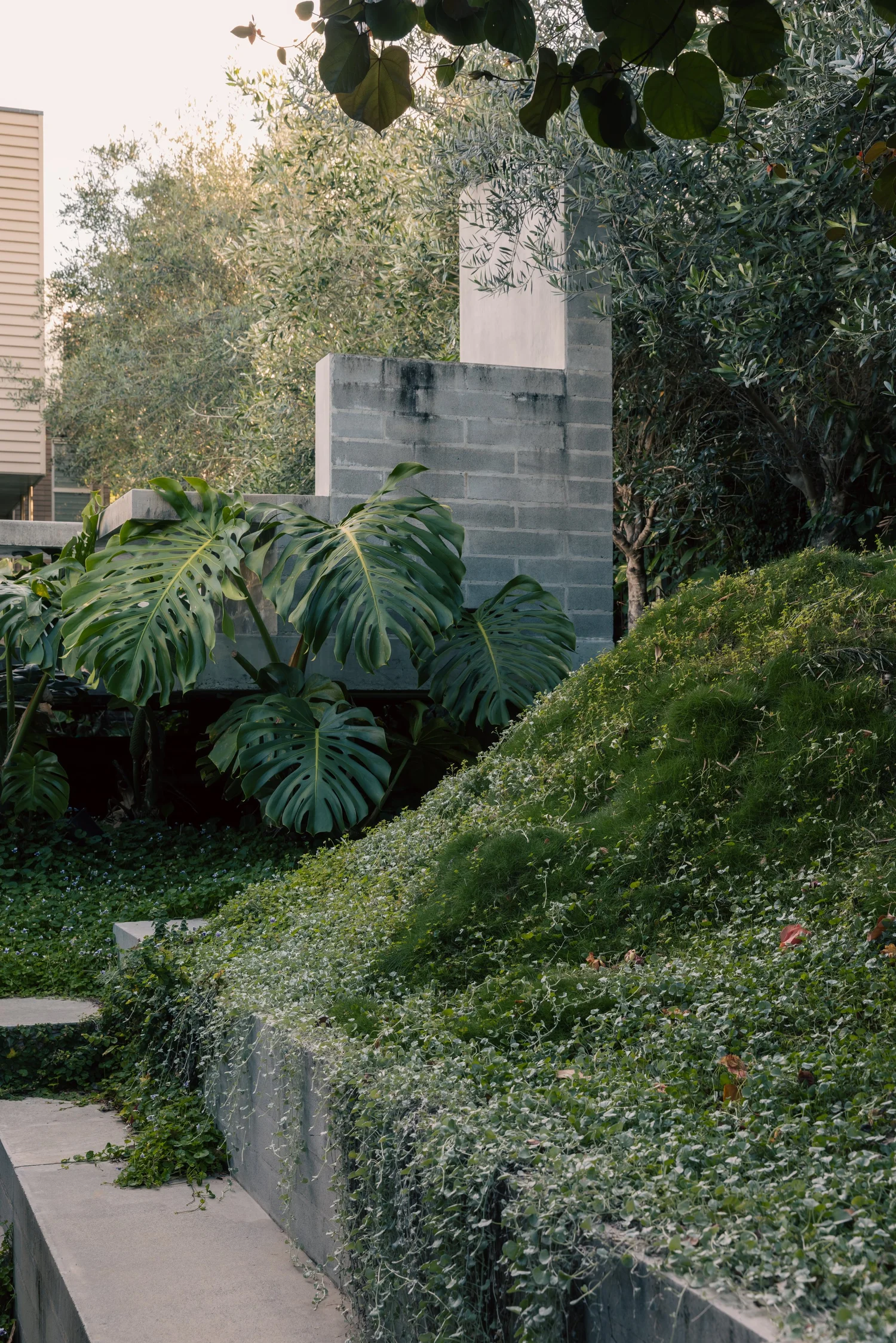 James Garden Pavilion — UME ARCHITECTURE