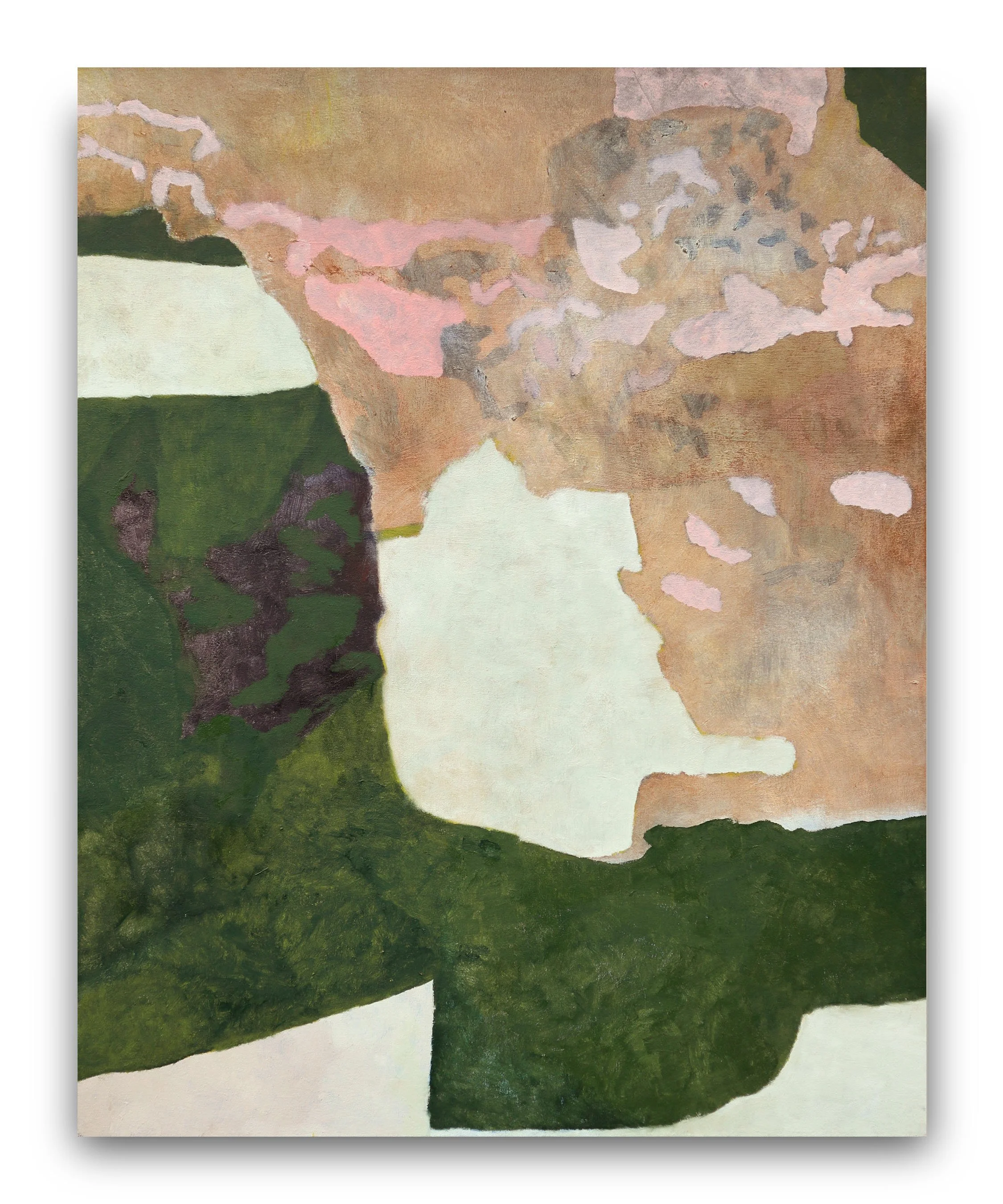 Frédéric Tiffet — KIPNZ