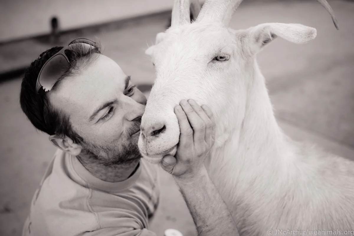 Greg Wieting - The Chronic Pain Solution™