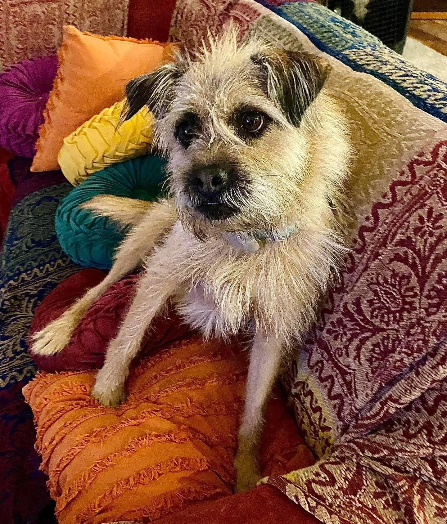 Kimberly Silver Kincaid