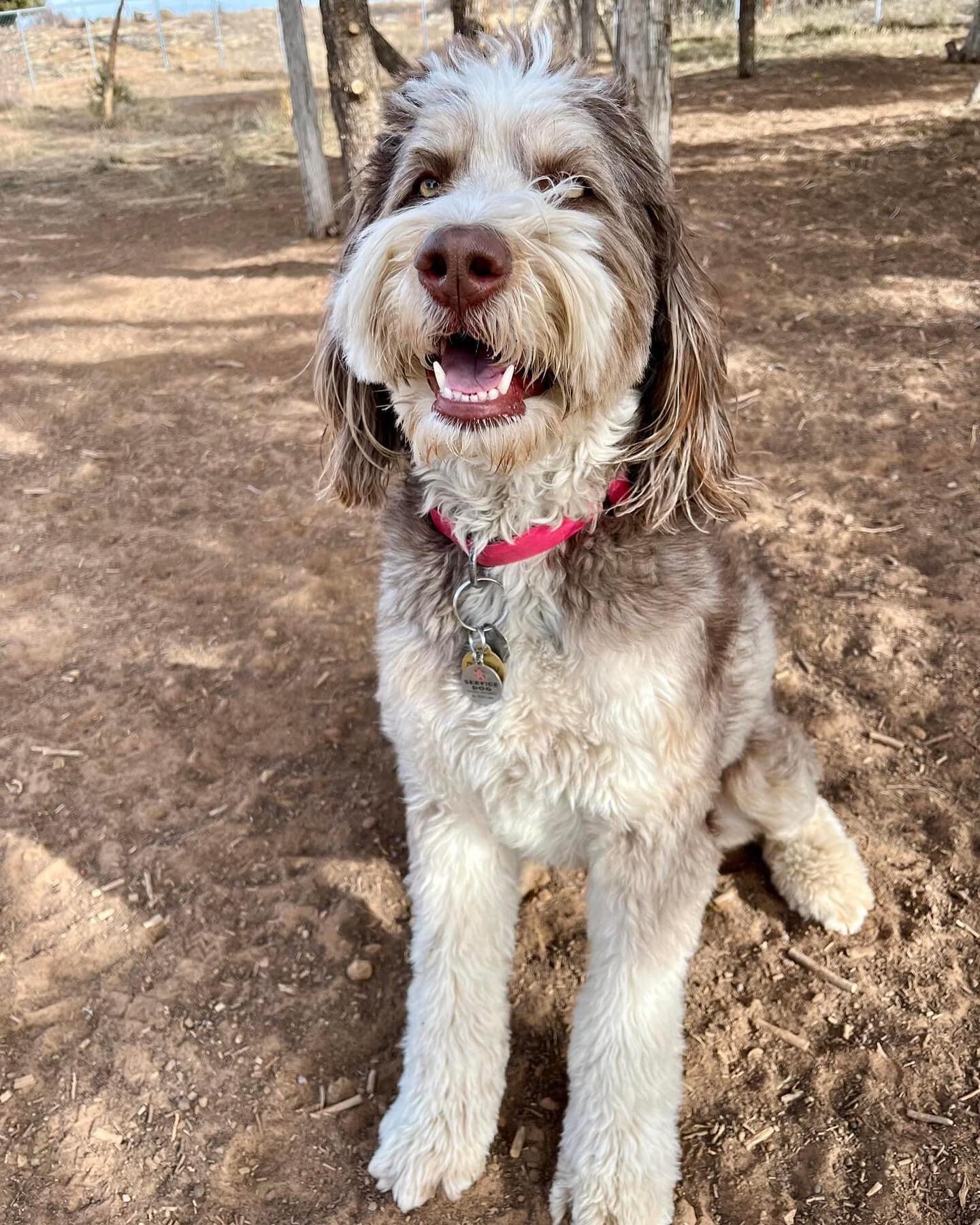 Kimberly Silver Kincaid