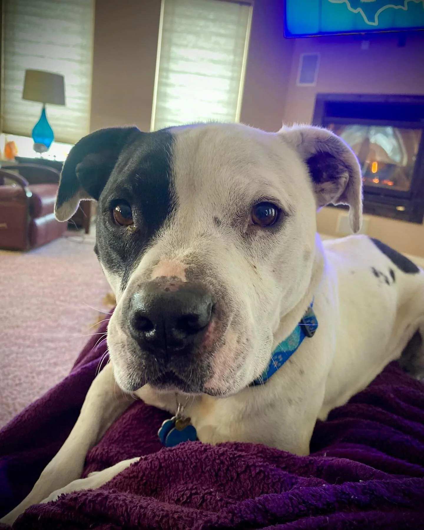 Kimberly Silver Kincaid