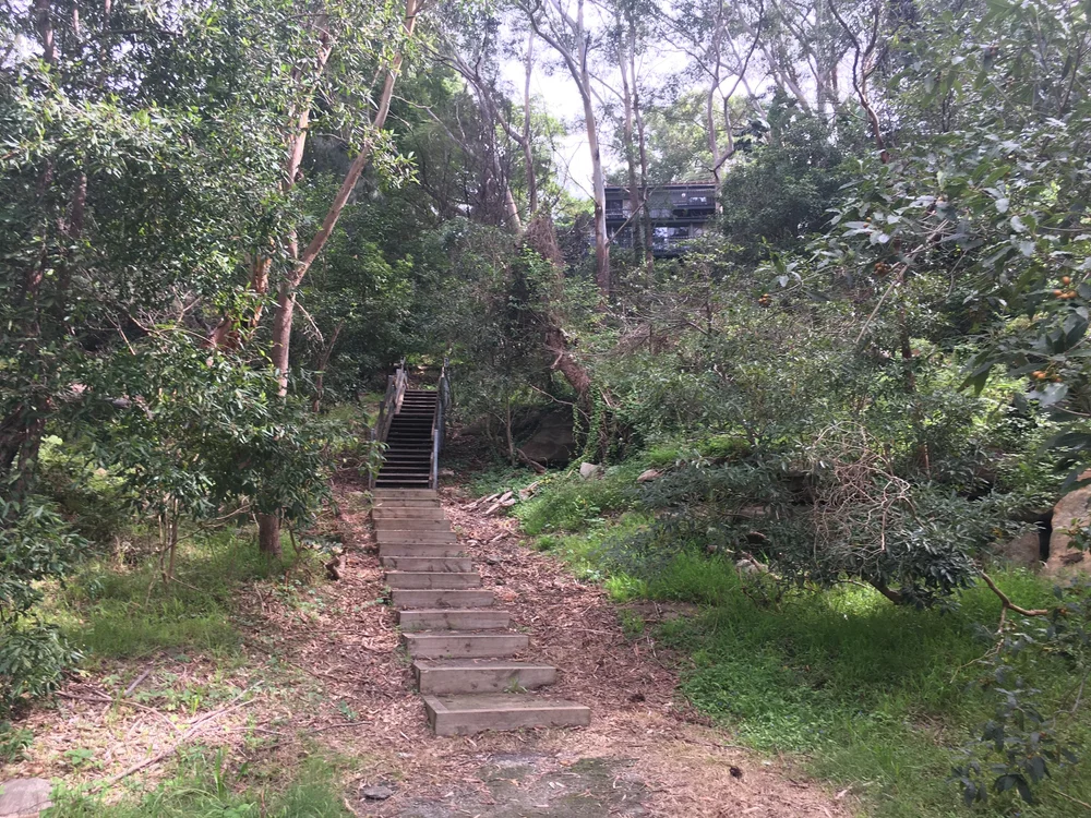 Natural area management and restoration — Toolijooa Environmental ...