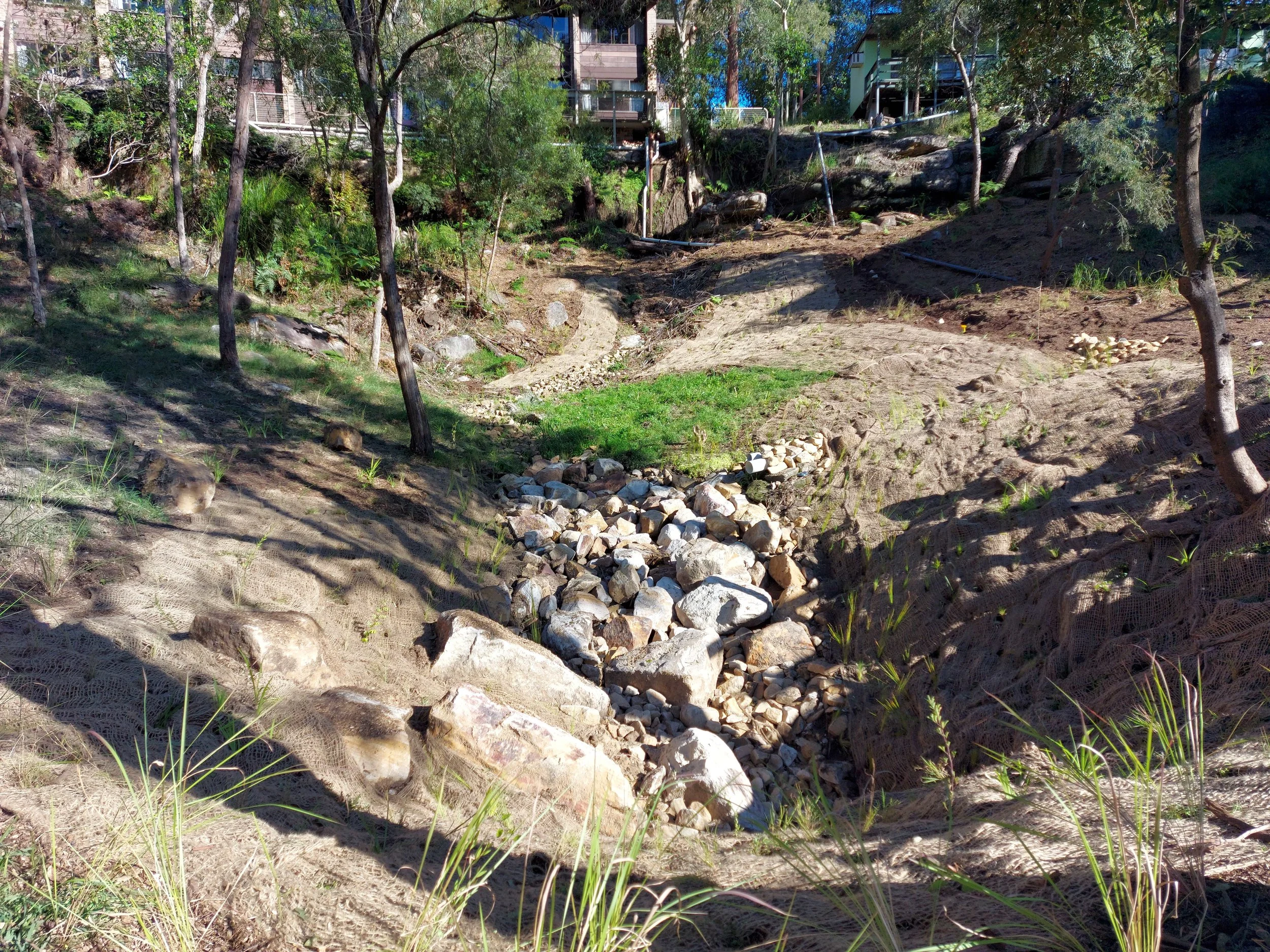 Natural area management and restoration — Toolijooa Environmental ...