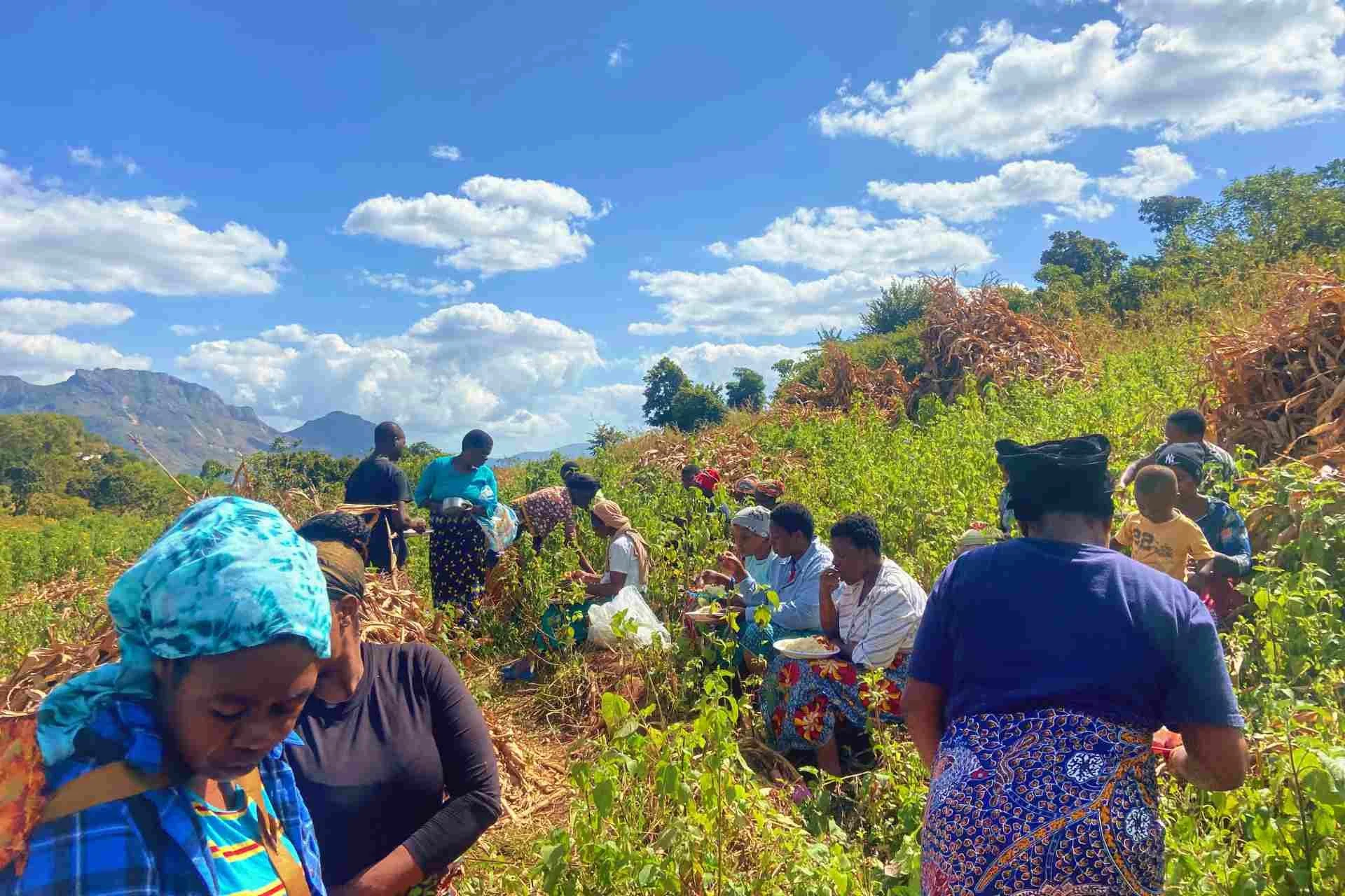 Malawi — Open Road Global