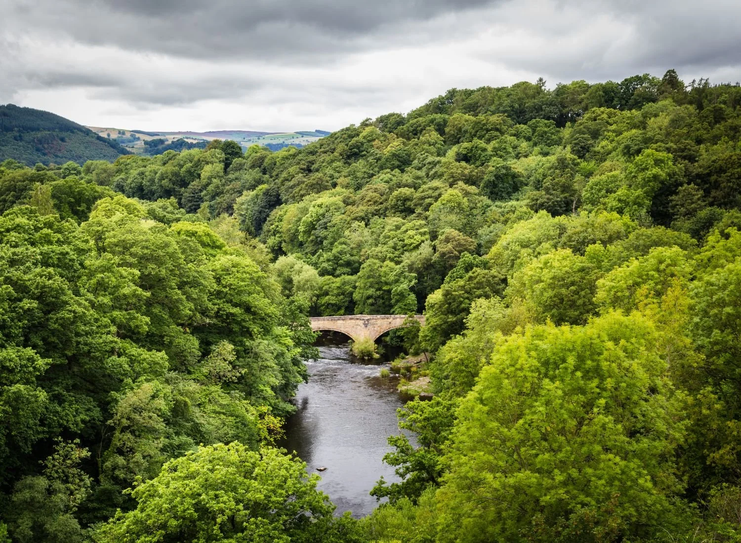 Things To Do In Holywell Wales — Destination Earth