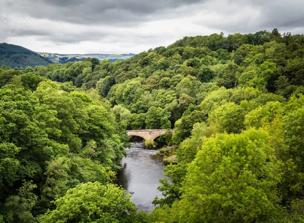 Things To Do In Holywell Wales — Destination Earth