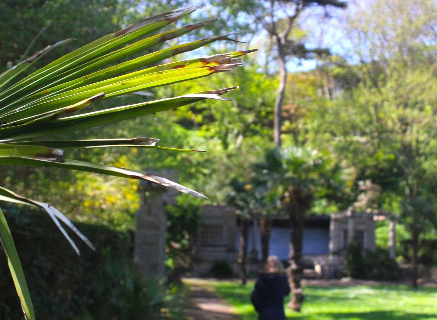 Things To Do In Holywell Wales — Destination Earth