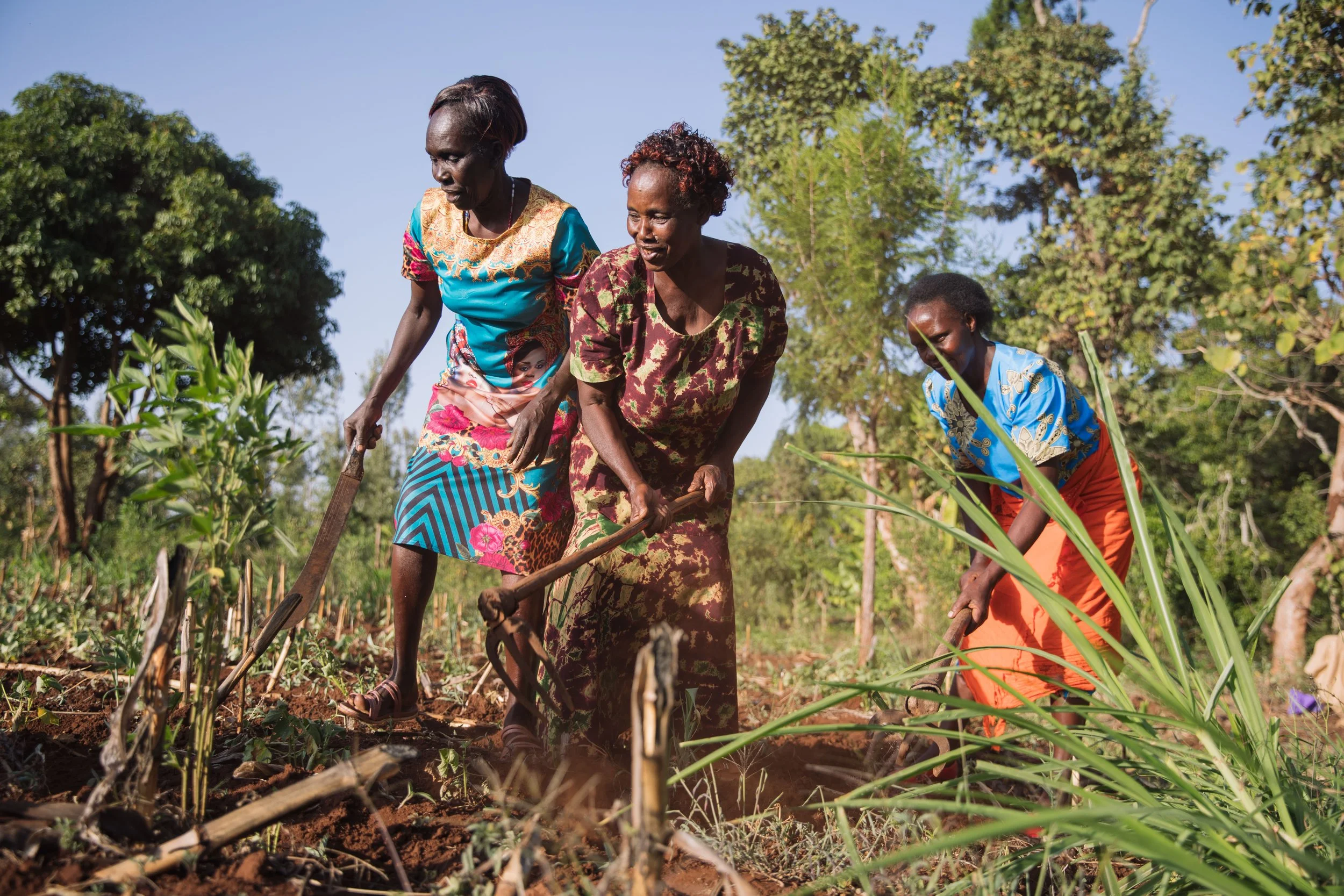 Farming and Small-scale Agriculture — Transform Trade