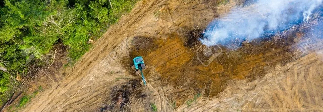 Farming and Small-scale Agriculture — Transform Trade