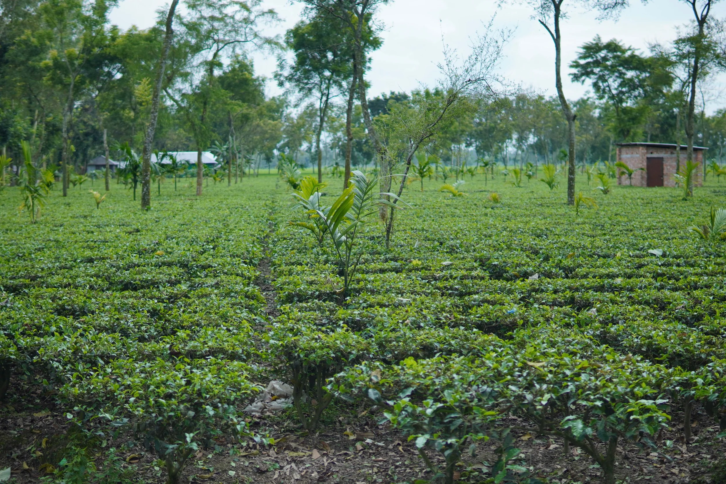 Transform Trade in the news — Transform Trade