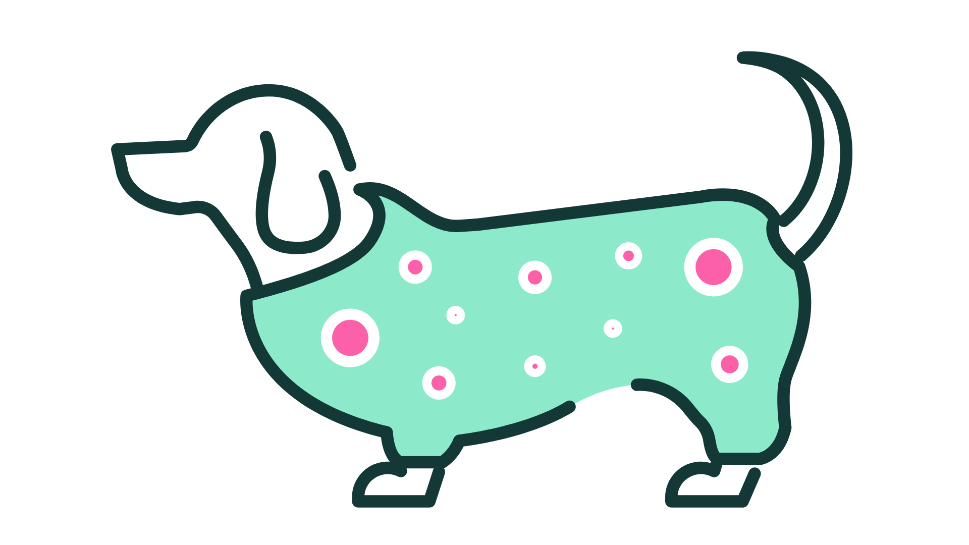 1000 dogs — Transform Trade