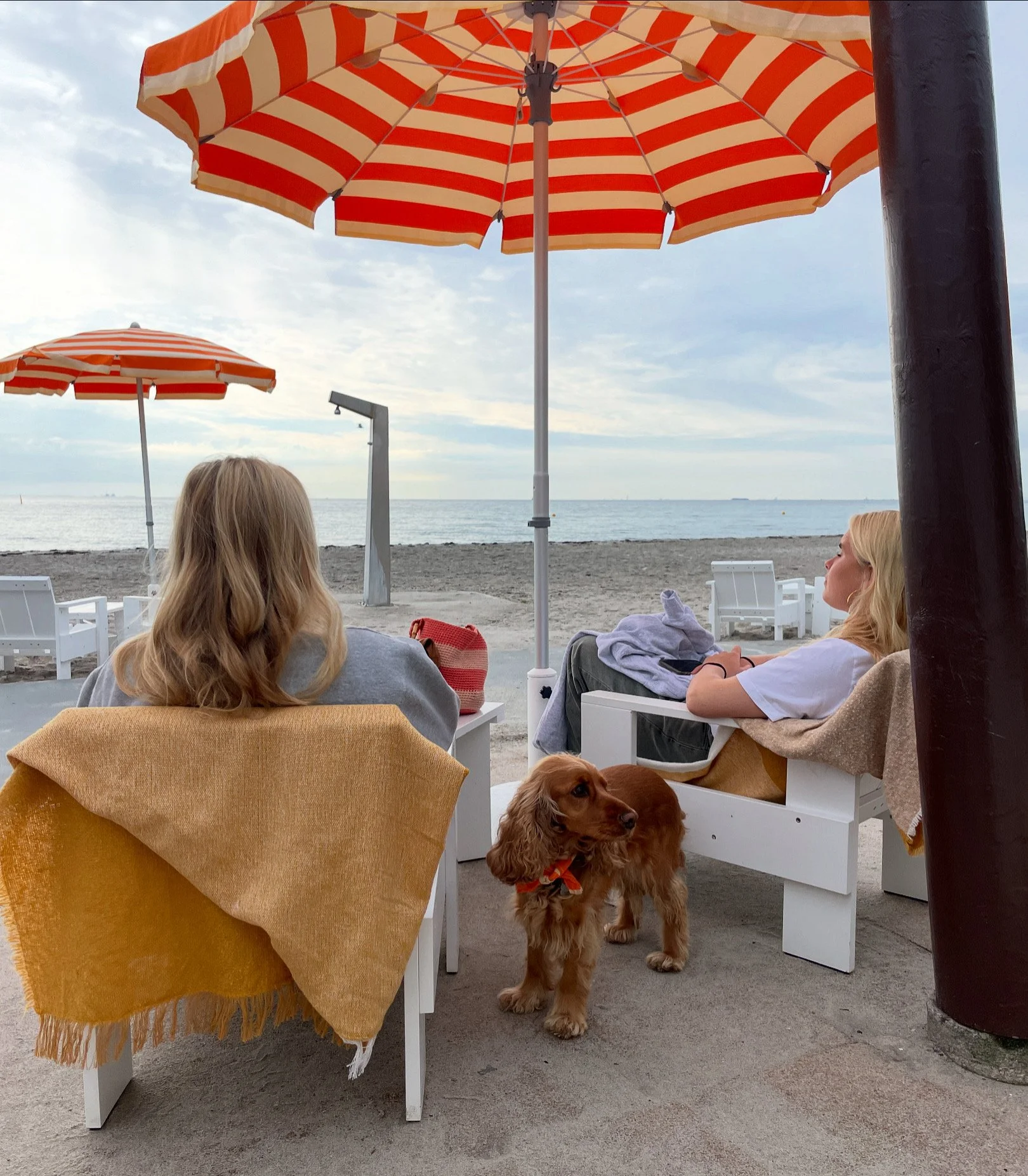 Wulff & Konstali - Beach Bar — Wulff & Konstali