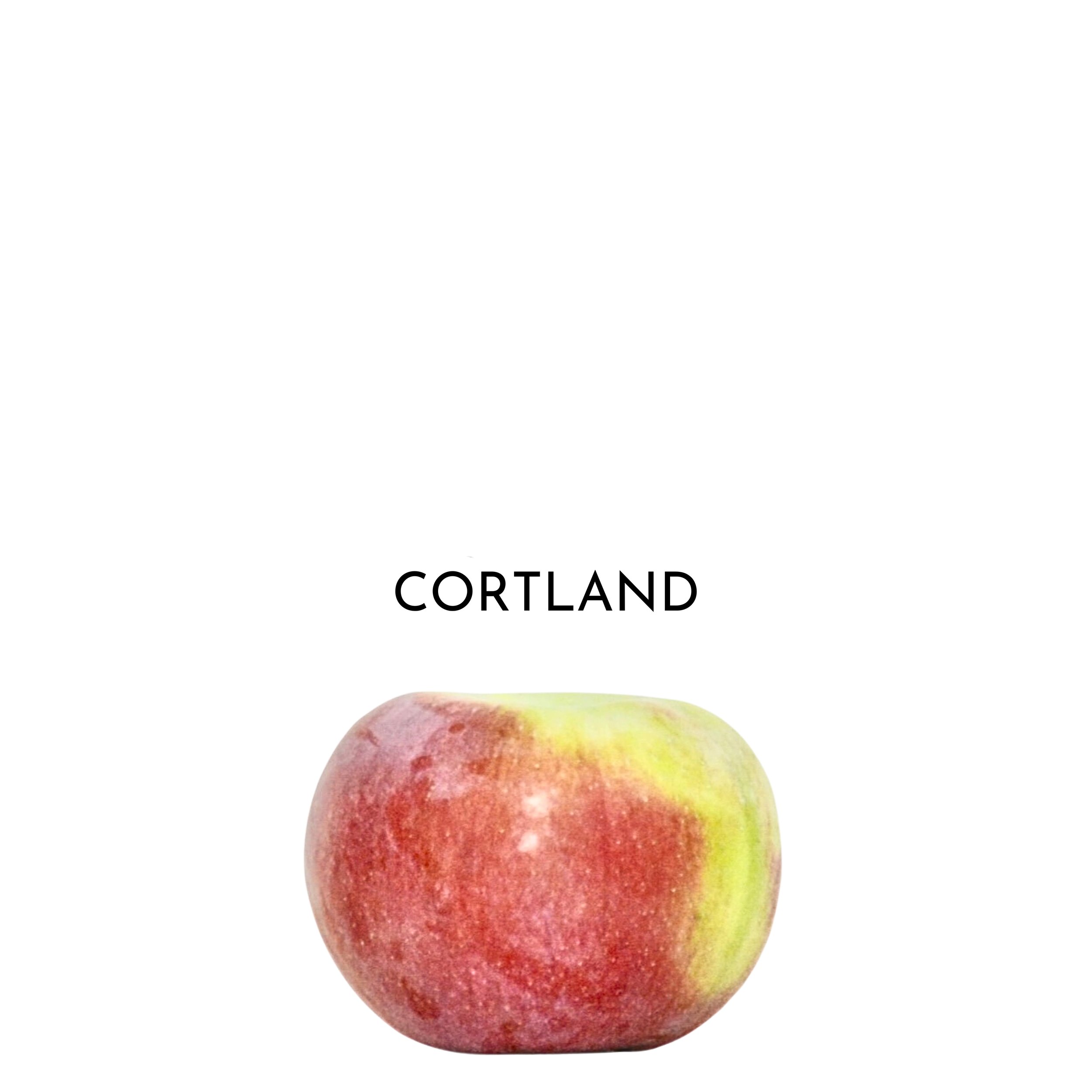 APPLES — Ridgetop Orchards