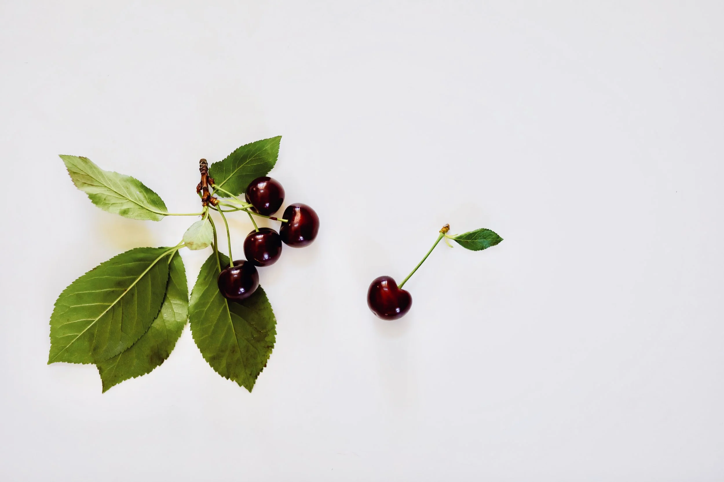 Ridgetop Orchards | Orchard Fresh, Family Grown Fruit