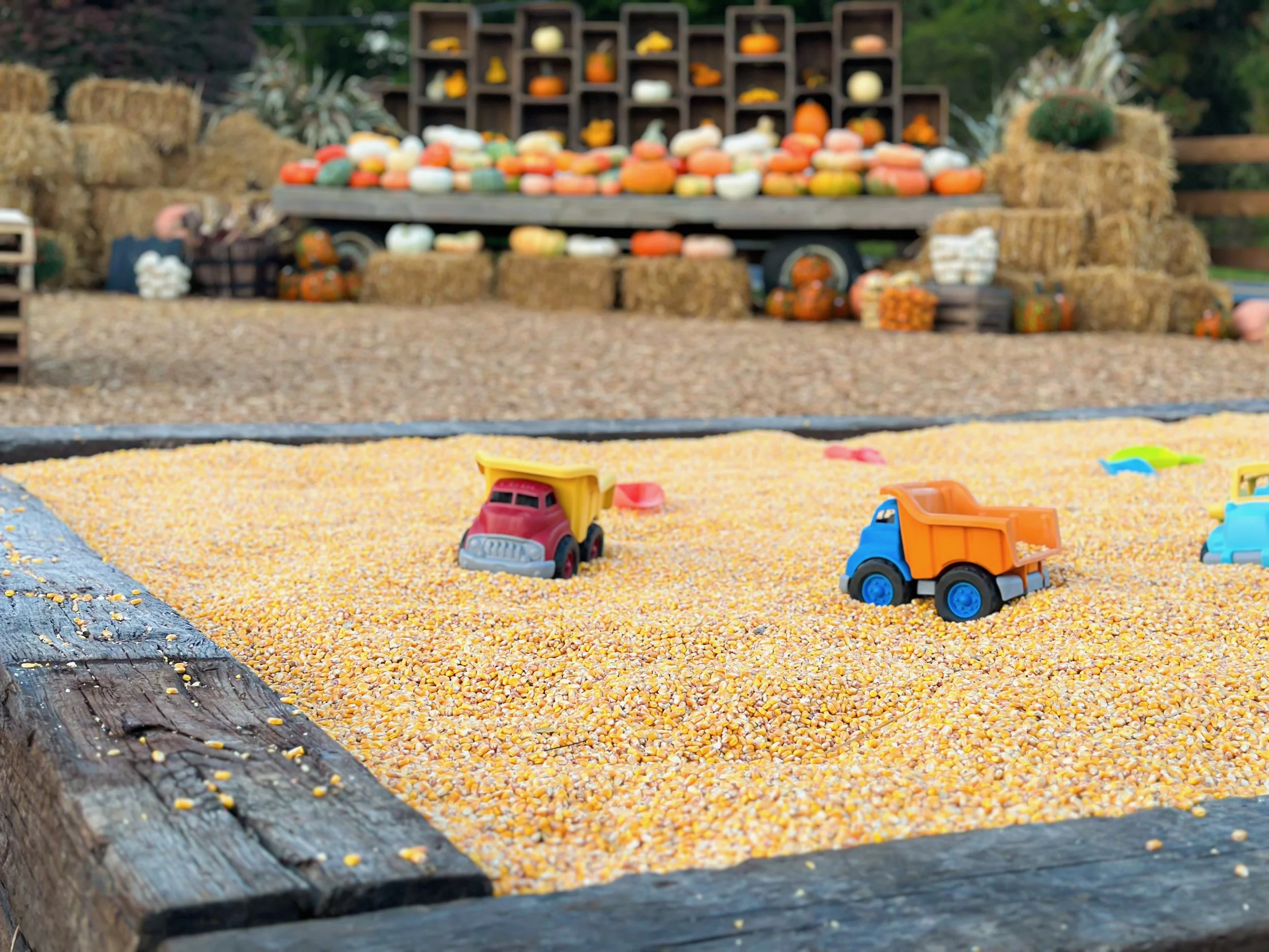 Ridgetop Orchards | Orchard Fresh, Family Grown Fruit