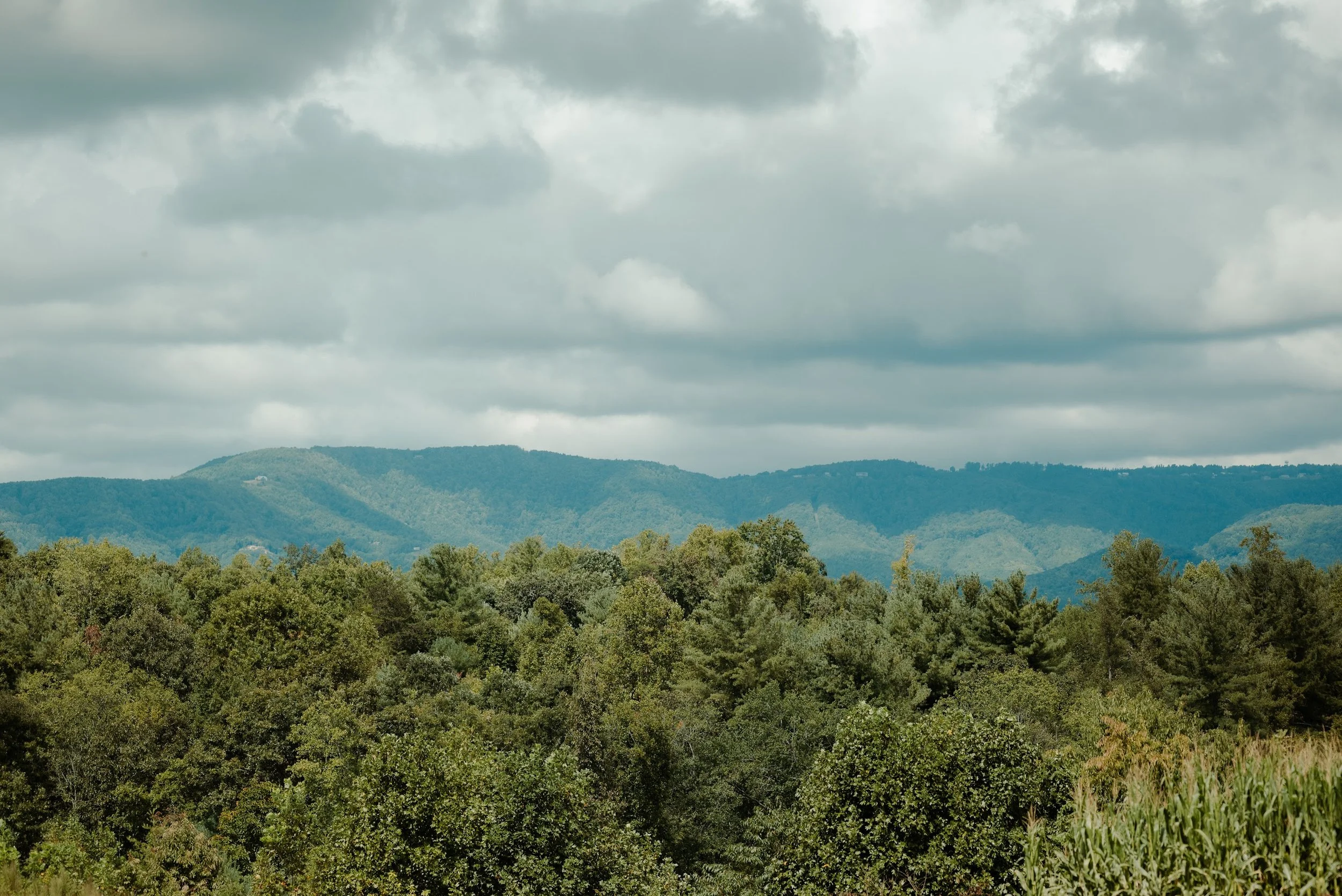 Whispering Ridge Farms