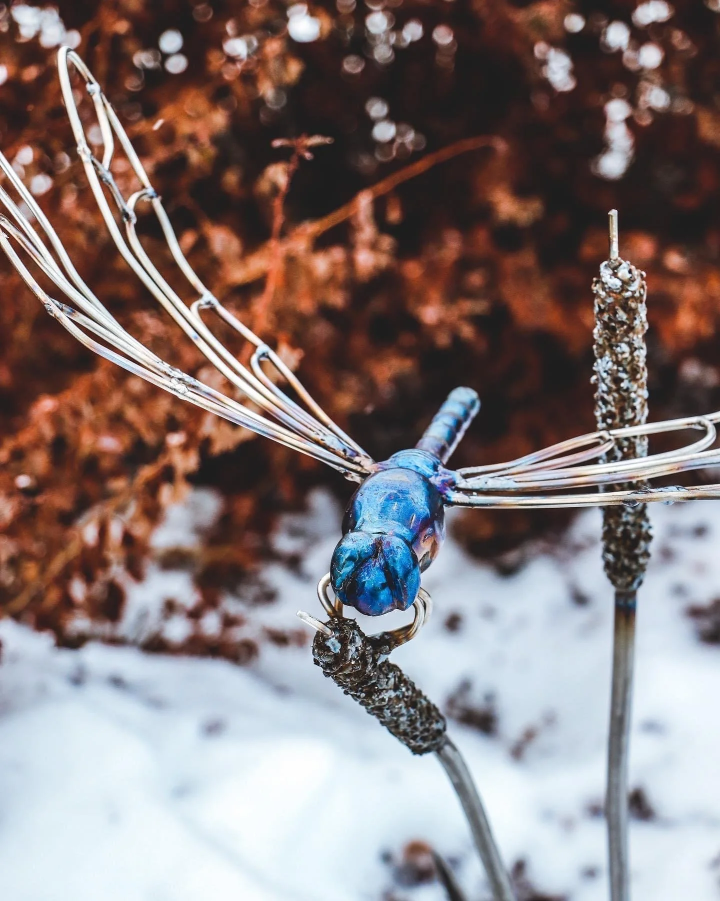 Gallery — Metal Monkey Design Co