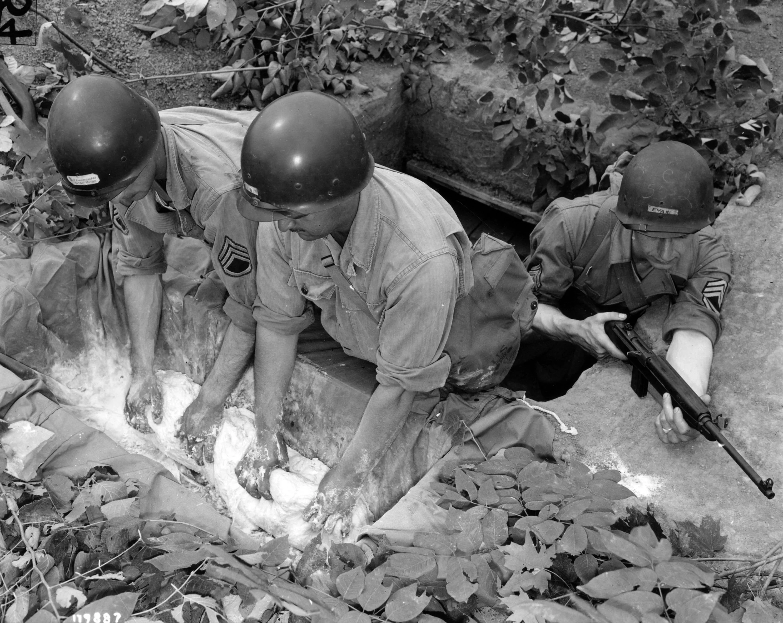 The War: Units of the Division — 103rd Infantry (Cactus) Division in ...