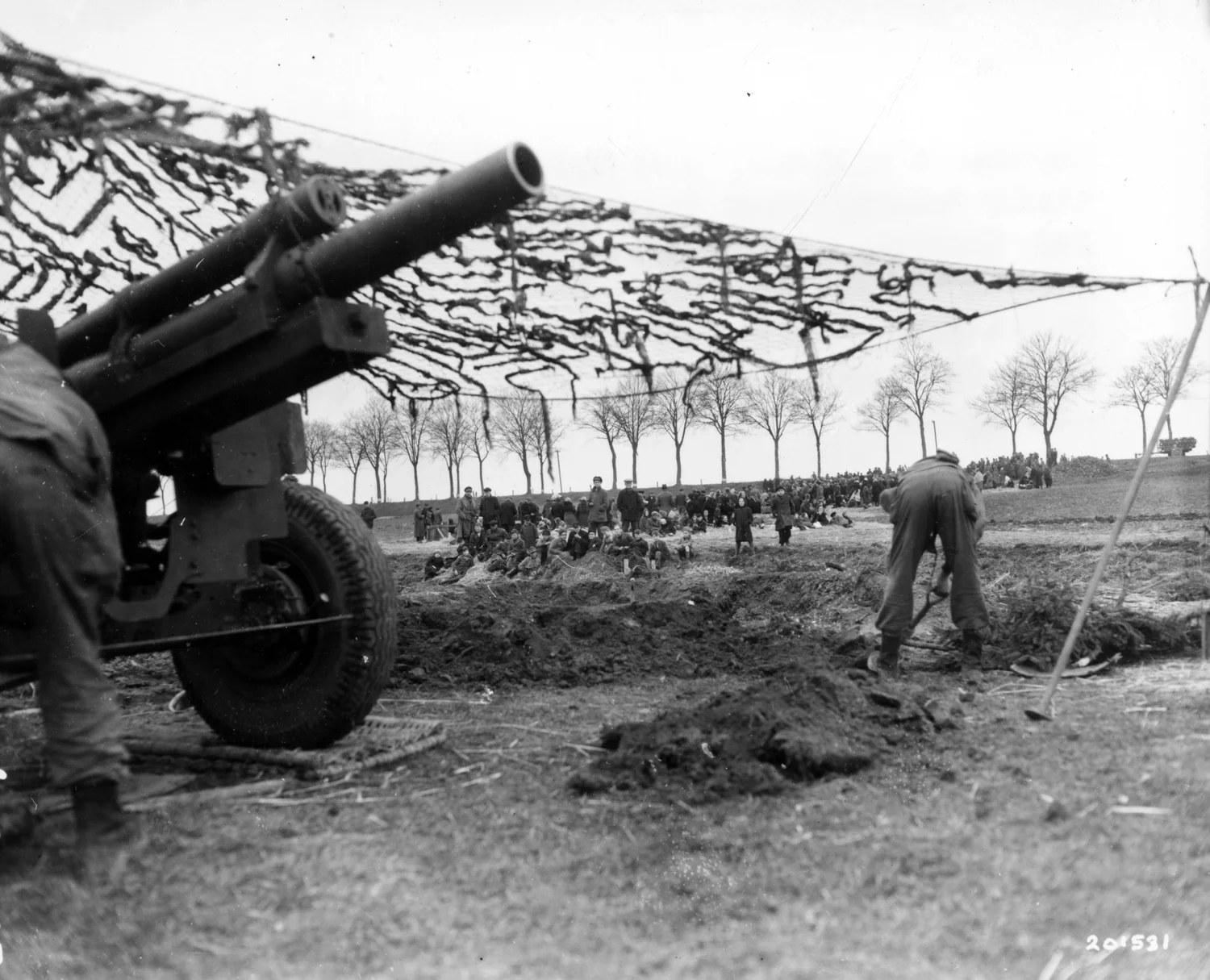 The War: Units of the Division — 103rd Infantry (Cactus) Division in ...