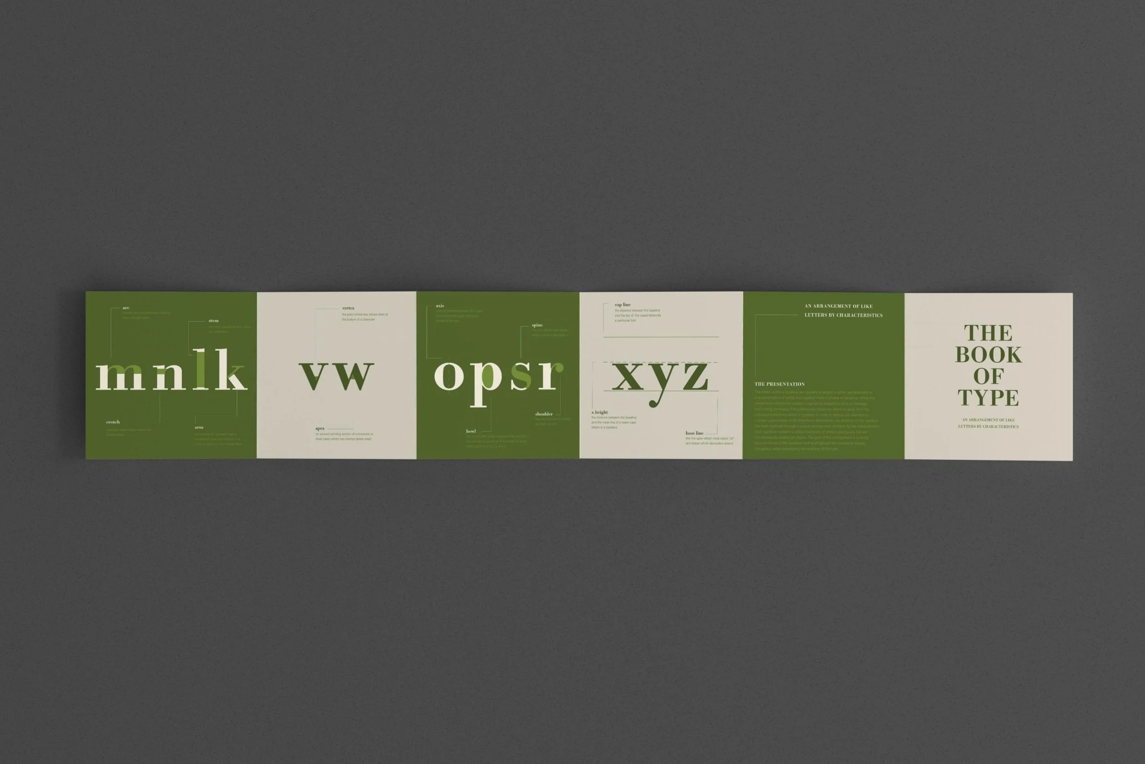The Book of Type - Infographic Pamphlet, Website Design & Website ...